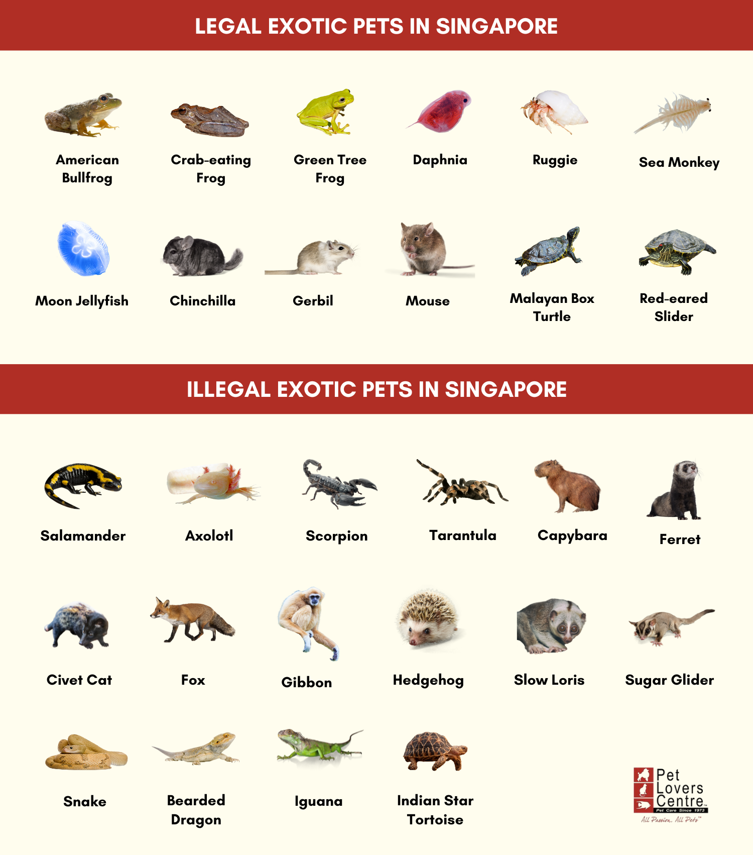 Exotic animals list store